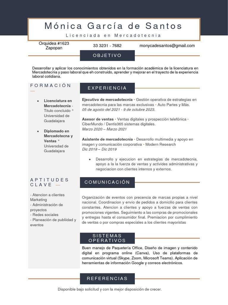 CV Mony G de Santos | PDF