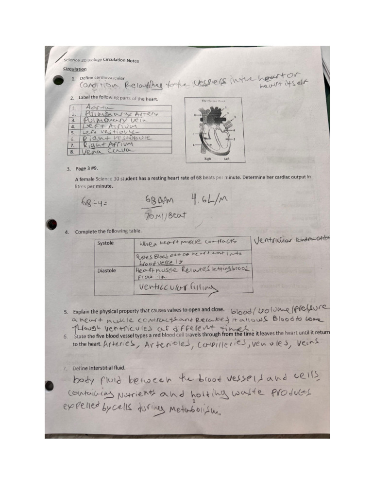 Science 30 Notes | PDF