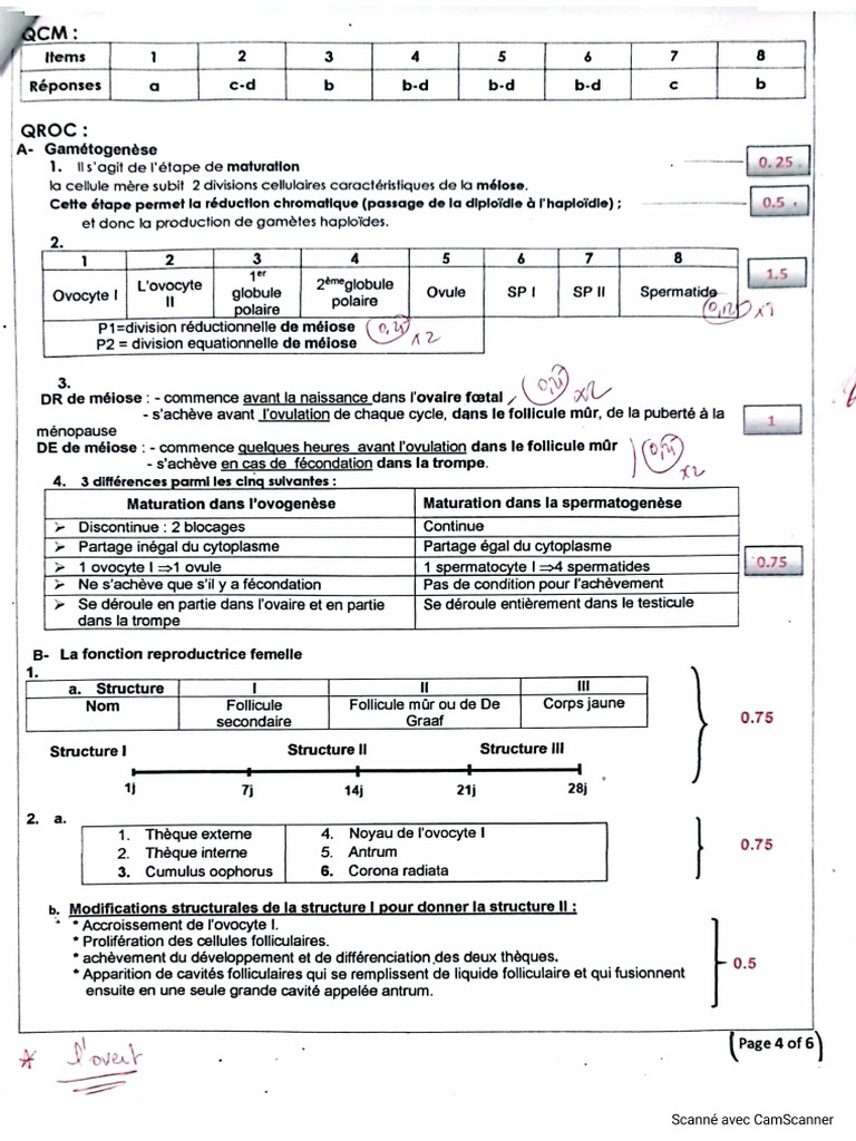 Corrigé 2022-2023.pdf DV cntrl1 2 Corrige | PDF