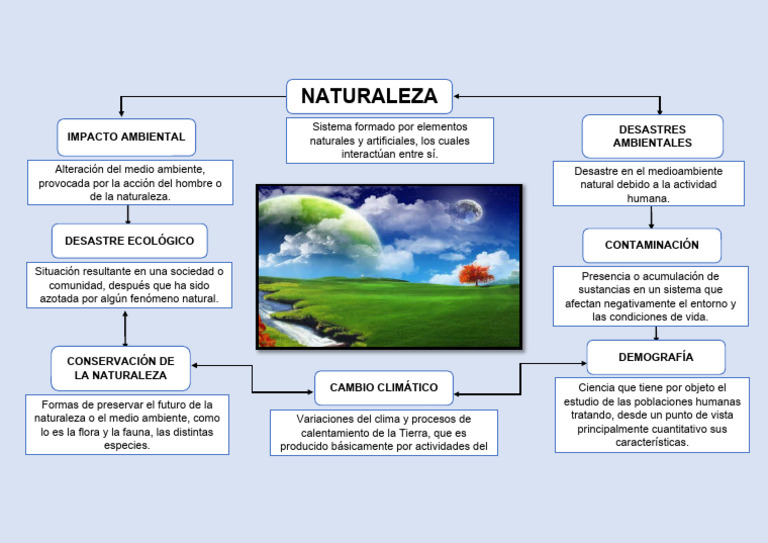 Mapa Conceptual de La Naturaleza | PDF
