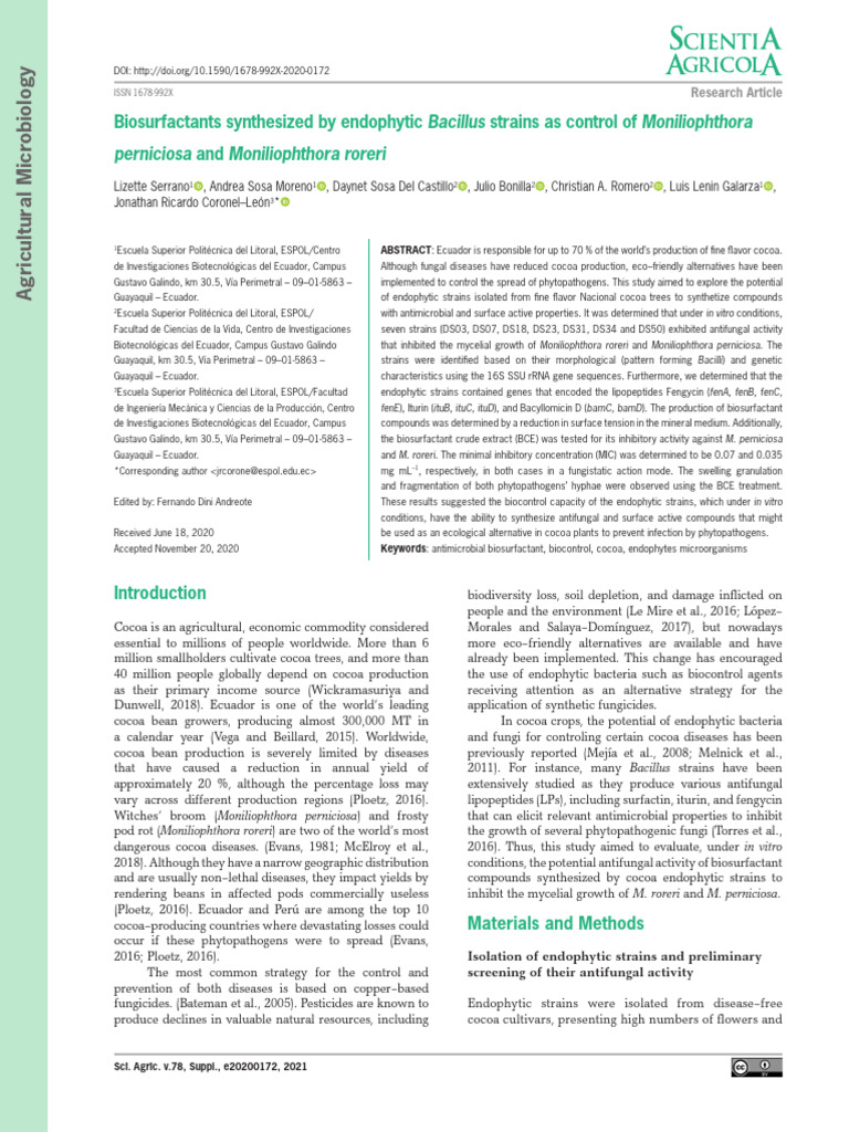 Perniciosa and Moniliophthora Roreri | PDF | Bacillus | Bacteria