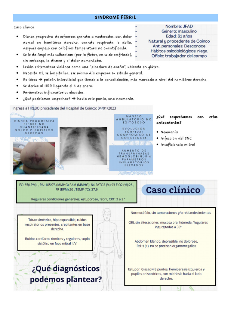 Fiebre De Origen Desconocido Pdf Pdf Fiebre Medicina