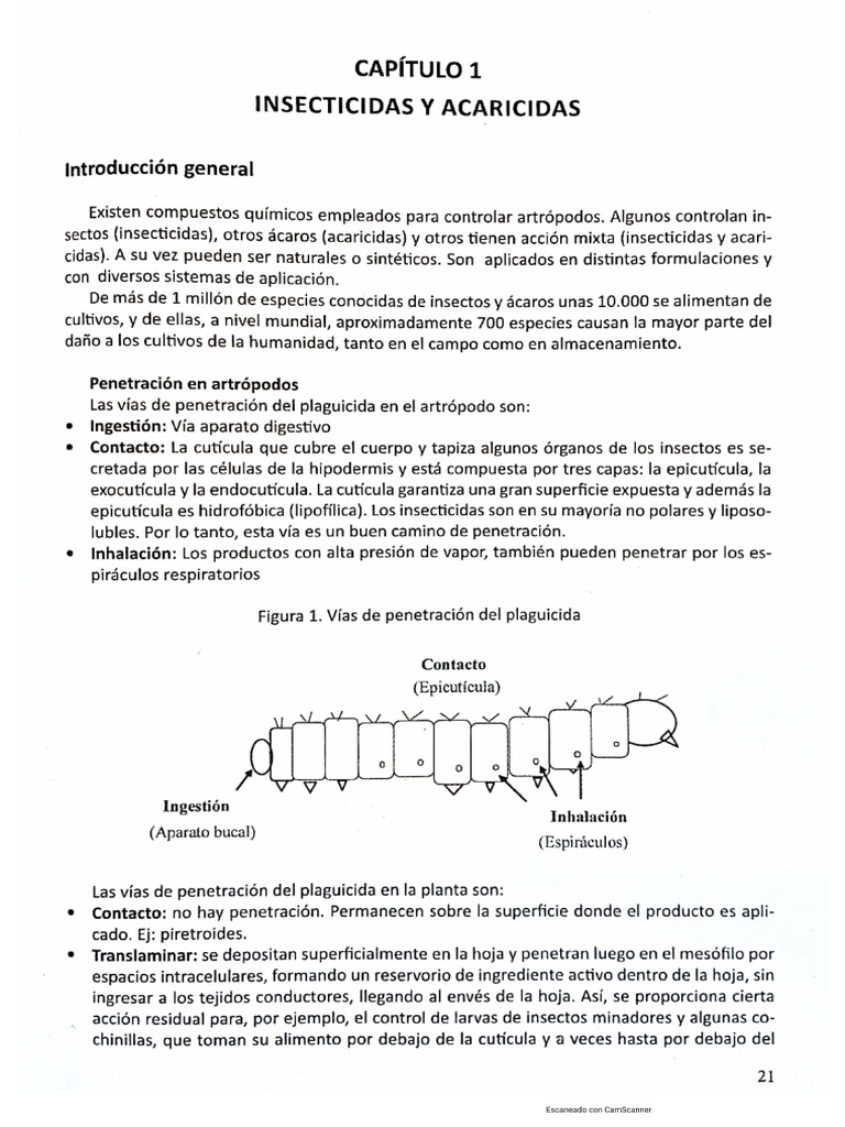 Insecticidas Puricelli I | PDF