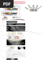 Interdigital (Morton's) Neuroma - Foot & Ankle - Orthobullets | PDF ...