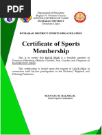 Ict Coordinator Esat Certification Template | PDF