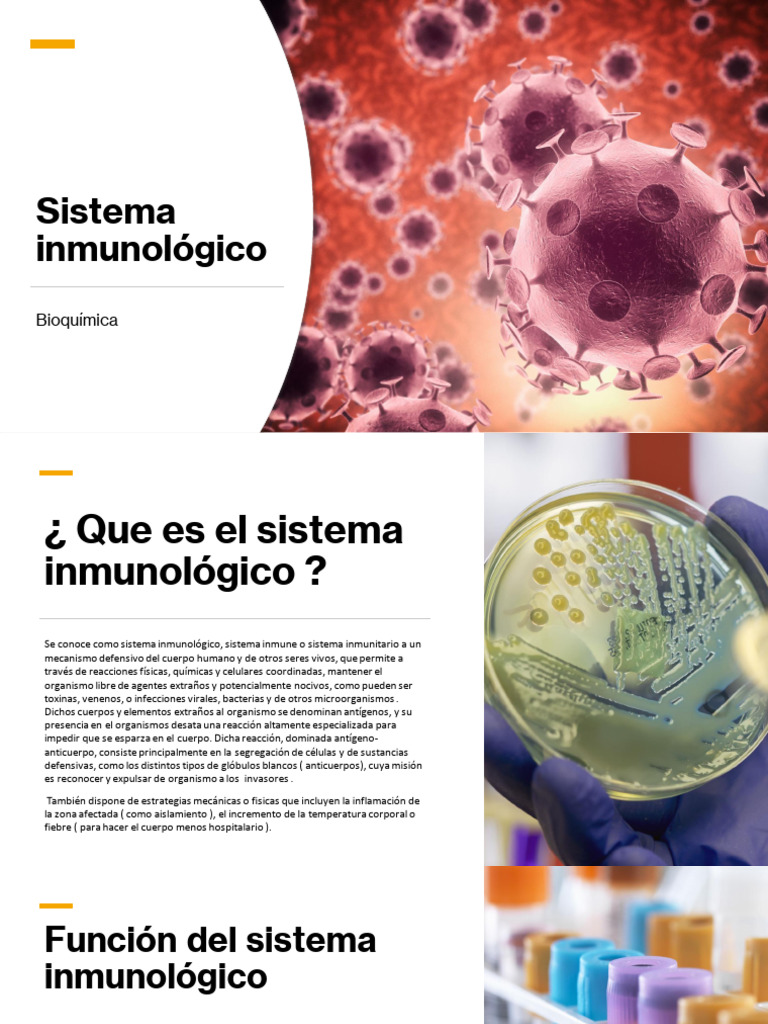 Presentación 3 | Descargar gratis PDF | Sistema inmune | Sistema inmune innato