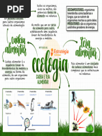 Mapa Mental - Angiospermas 1 - Biologia | PDF