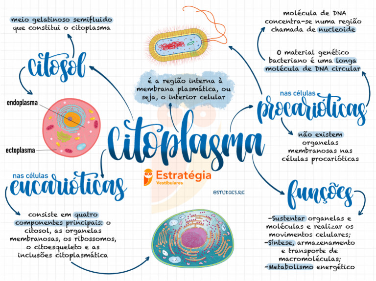 Mapa Mental - Citoplasma - Biologia | PDF