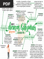 Mapa Mental - Angiospermas 1 - Biologia | PDF