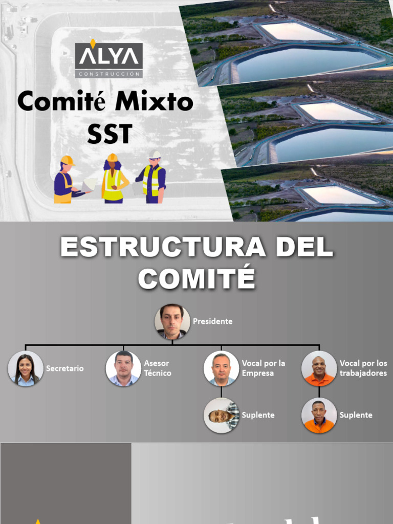 Comité Mixto de SST. | PDF