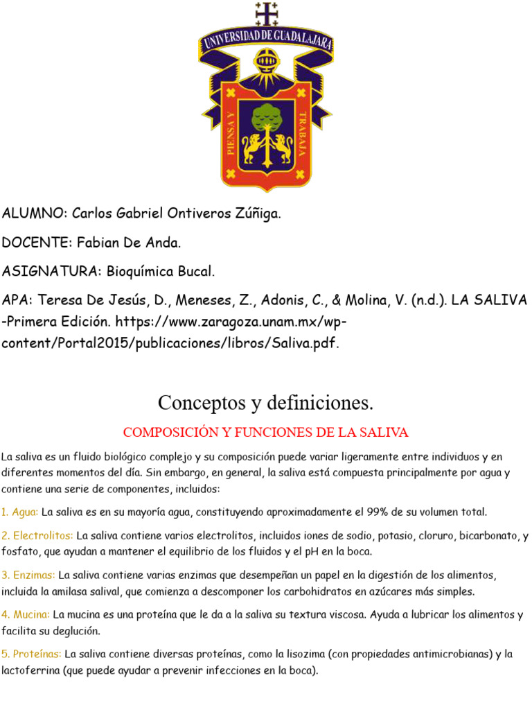 Composición y Funciones de la Saliva | PDF