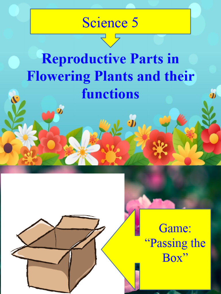 Cot 2 Reproductive Parts of Flower | PDF | Flowers | Petal