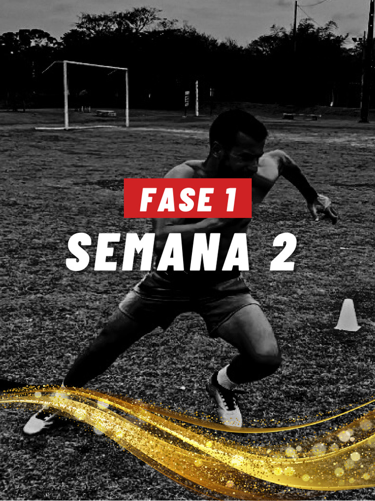 (Fase 1 Semana 2) | PDF