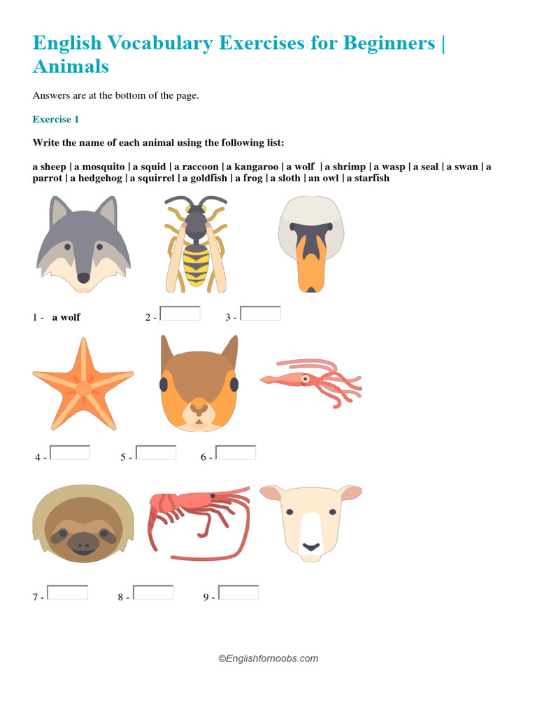Beginner Animal Vocabulary Exercises | PDF | Home & Garden
