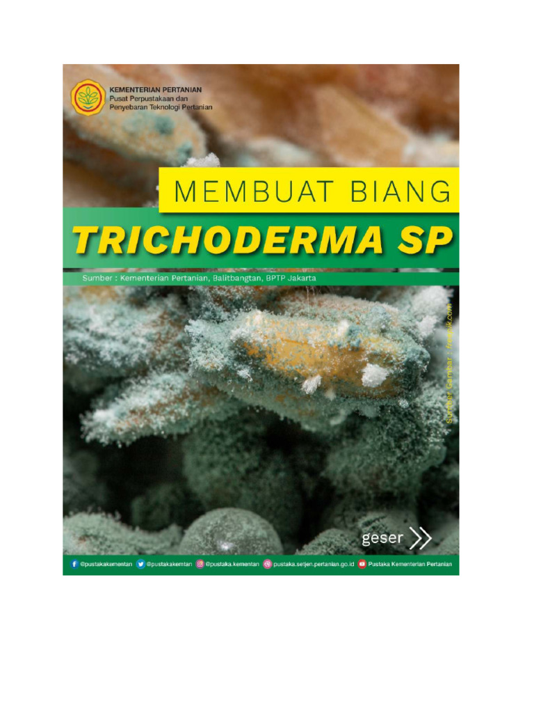Membuat Biang Trichoderma | PDF
