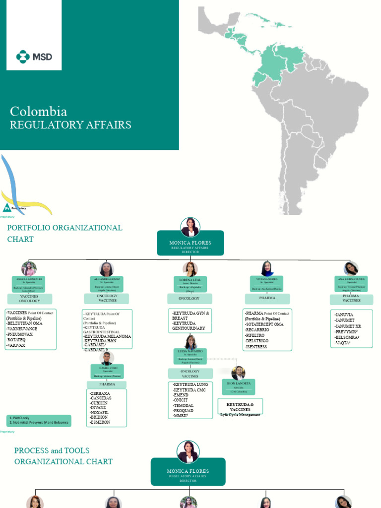 Ra Organizational- Portafolio & Process and Tools | PDF