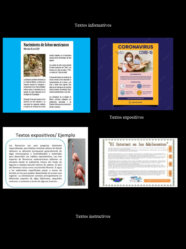 Textos Informativos | PDF