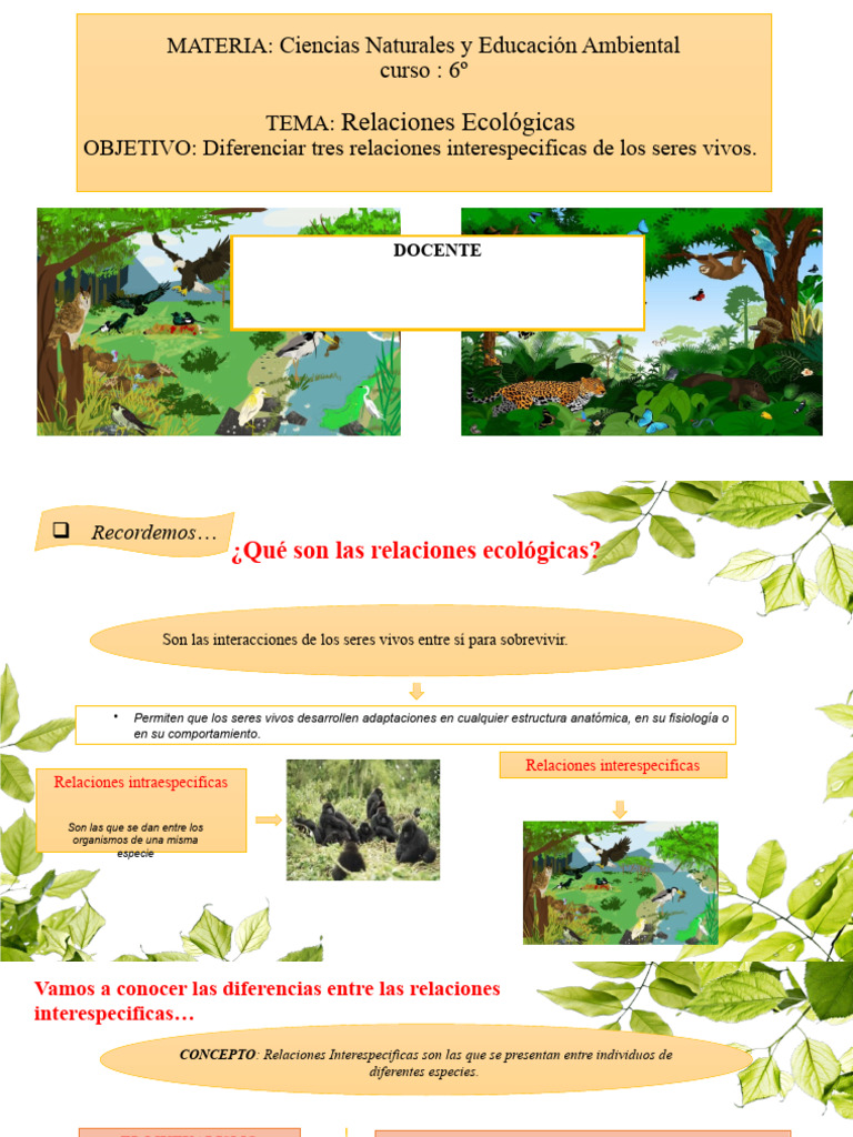 Clase 5 Relaciones Ecologicas | PDF | Depredación | Ciencias del ...