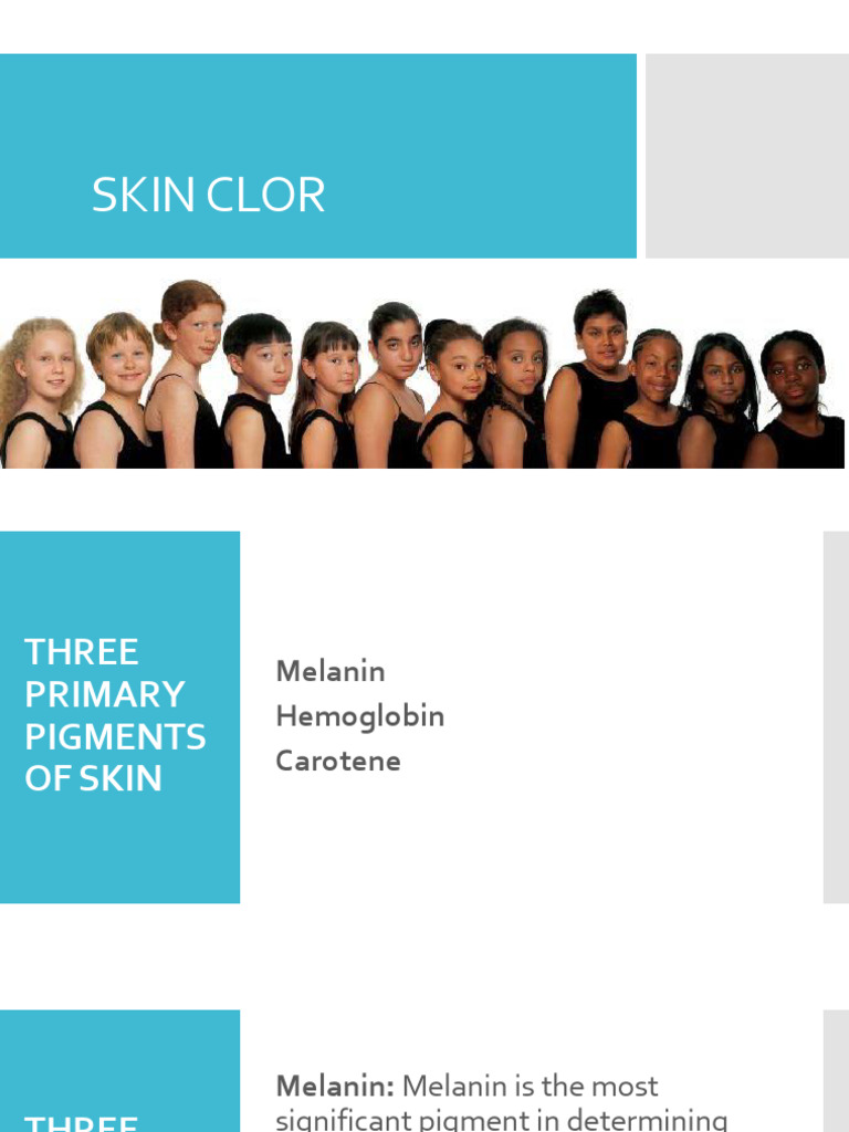 Skin Pigmentation | PDF | Human Skin Color | Skin