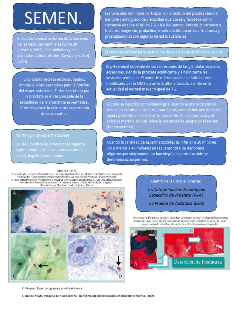 5.2.1.6 Semen | PDF | Semen | Mamíferos machos