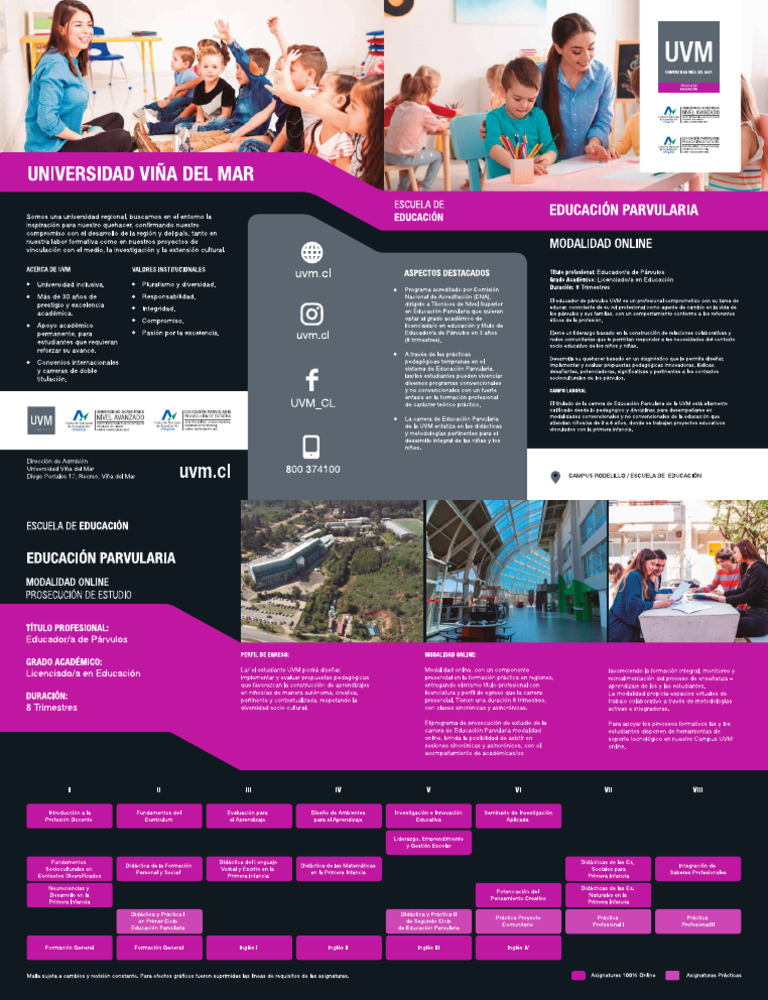 UVM Educacion Parvularia Cont Online | PDF