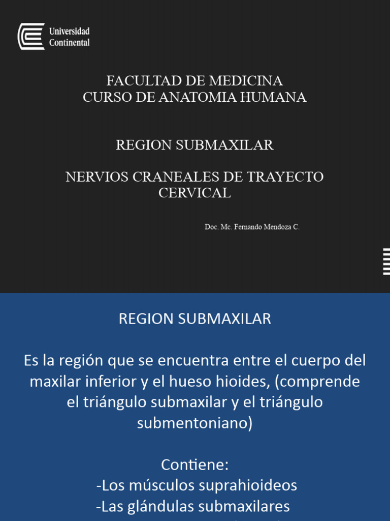 4.-CD Region Submaxilar | PDF | Laringe | Anatomia animal