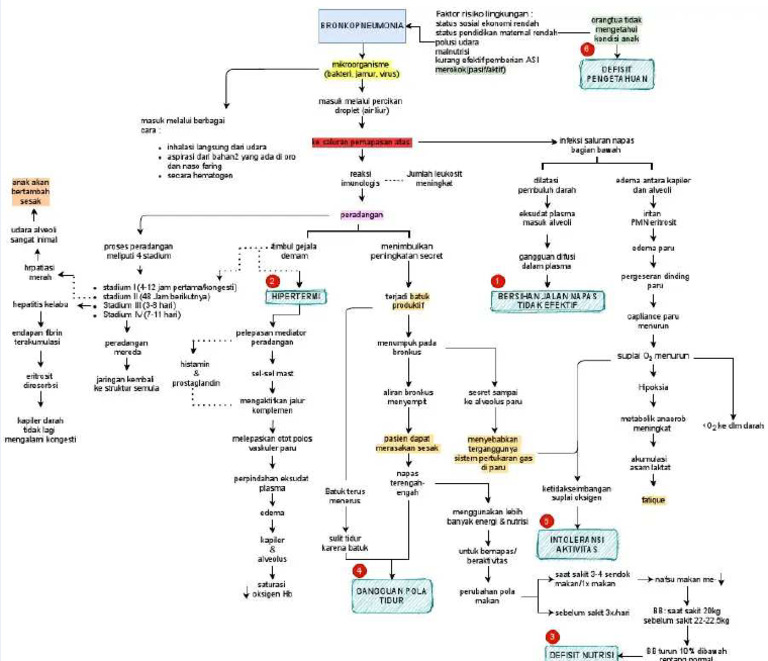 PDF Woc Bronkopneumonia - Compress | PDF