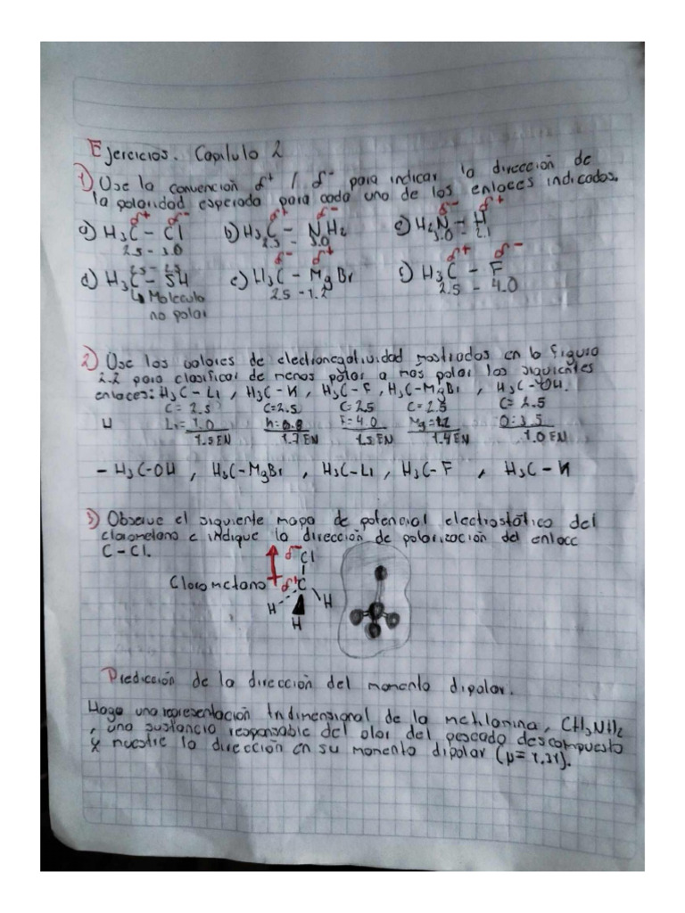Actividad III. Ejercicios | PDF