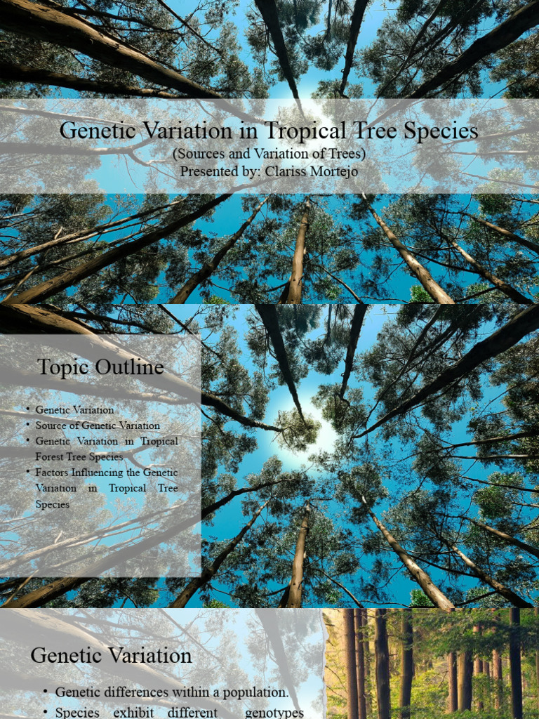 Sources-and-Variation-of-Trees 2 | Download Free PDF | Genetics ...