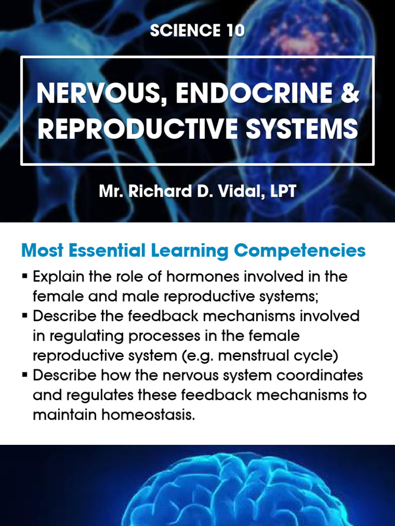 3-1 Nervous, Endocrine, and Reproductive System | PDF | Menstrual Cycle ...