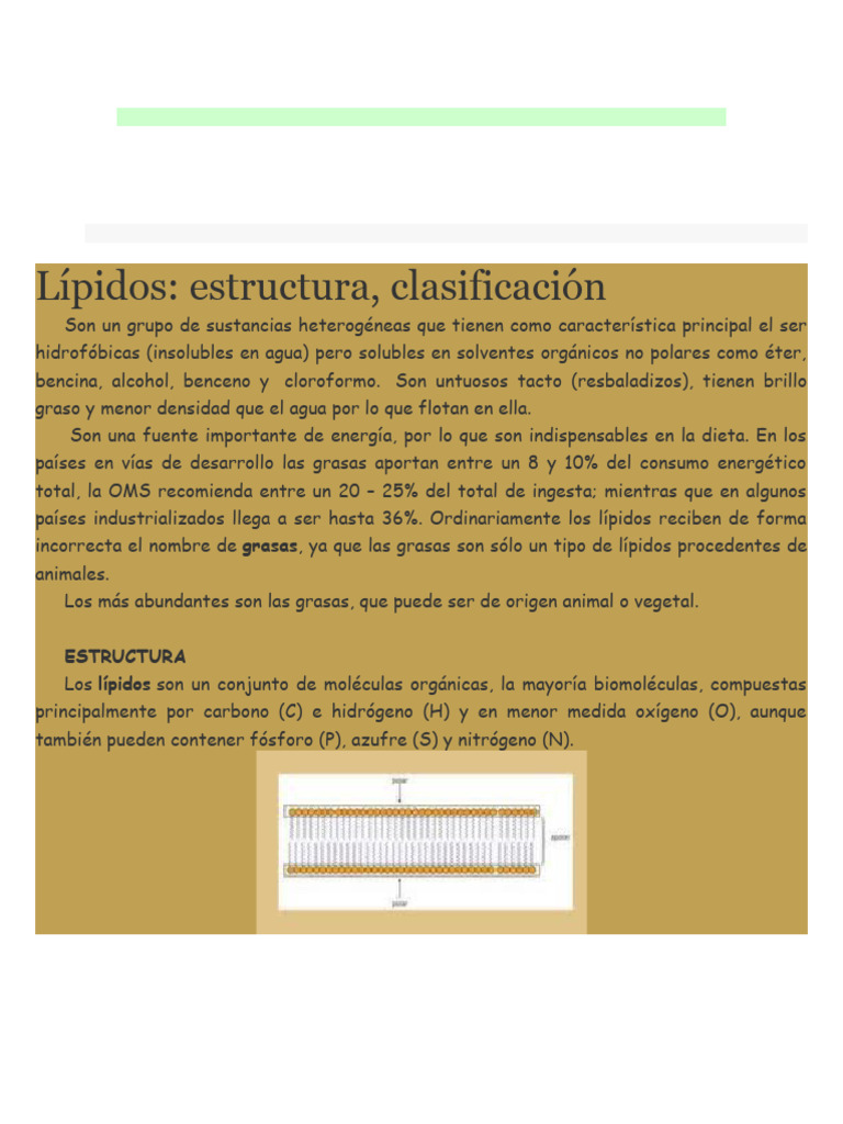Clasificación de Los Lípidos | PDF | Bienestar