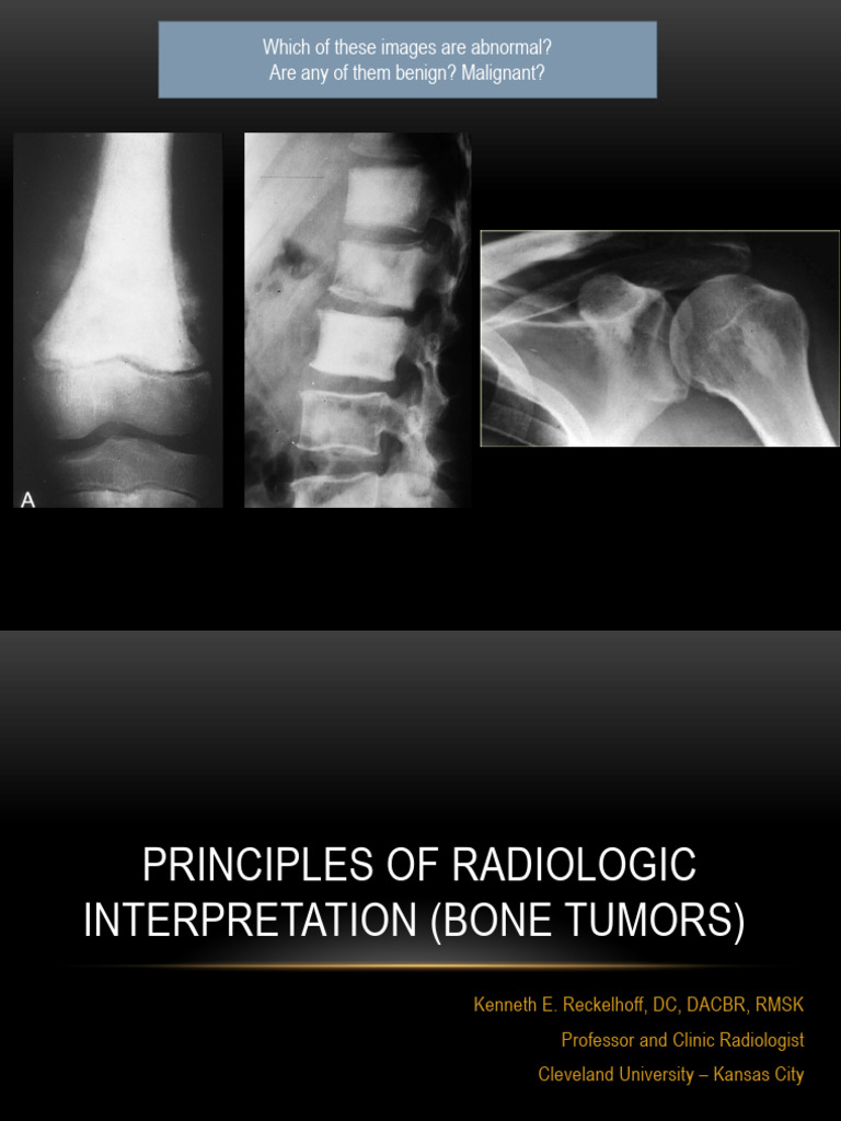 01 Principles | PDF | Bone | Radiology