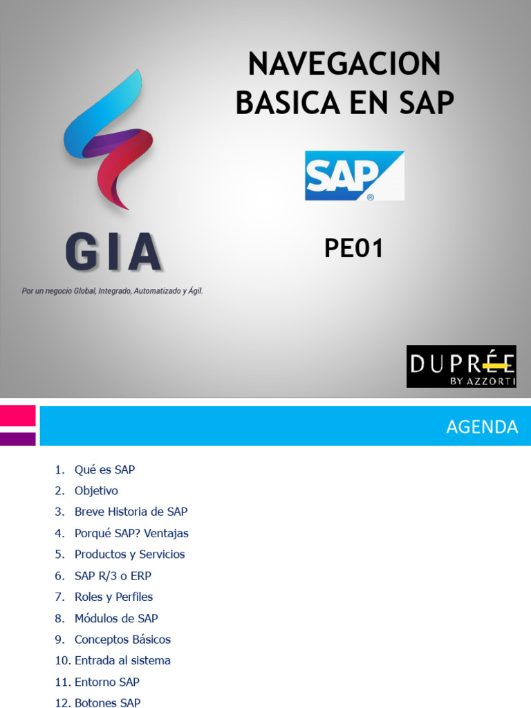 Navegación Básica SAP VF | PDF | Planificación de recursos empresariales | Servidor (Computación)