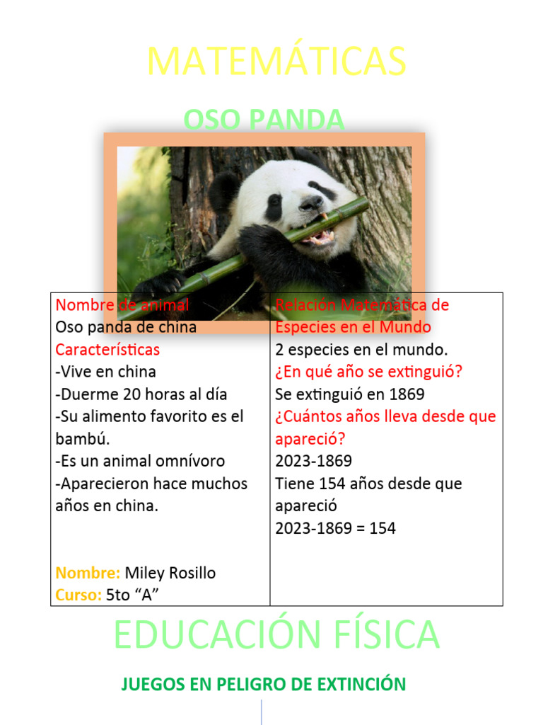 Oso Panda: Matemáticas | PDF