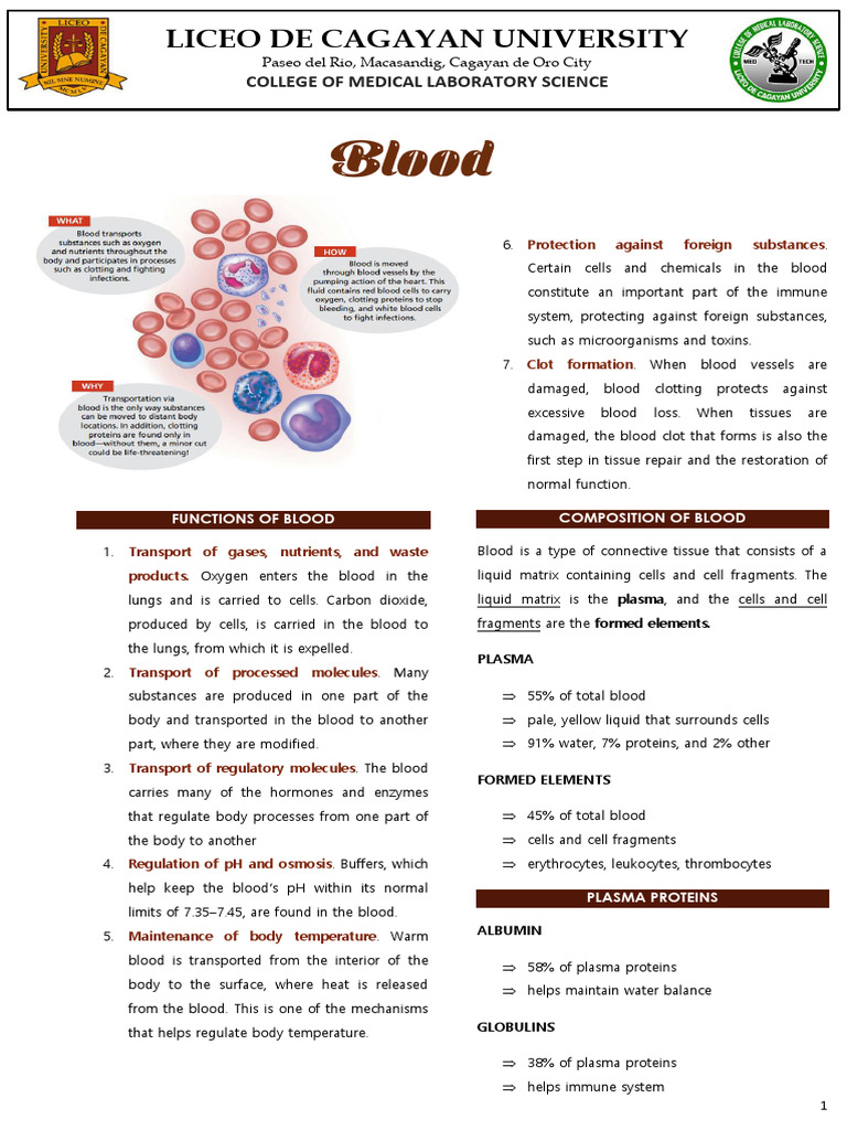 BLOOD | PDF