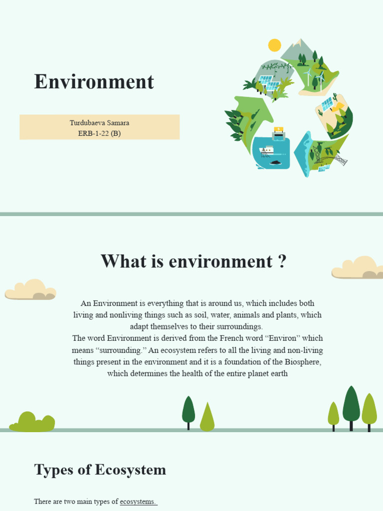 Environment | PDF
