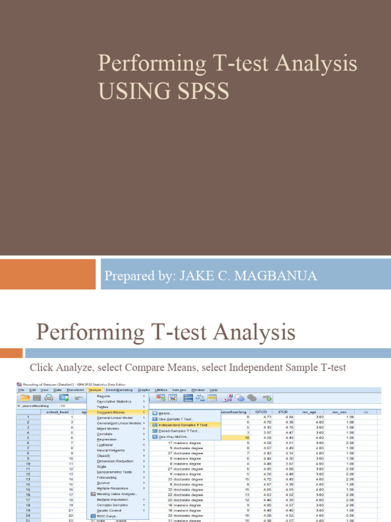 Spss T Test | PDF