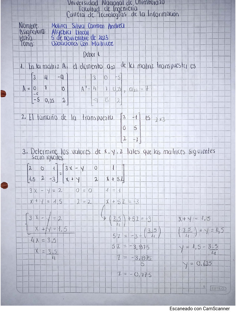 Tarea N1 Álgebra Líneal | PDF