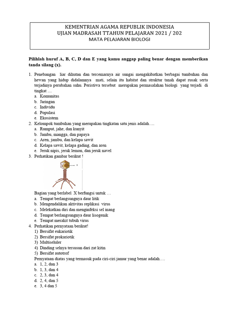 Soal Um Biologi Man 2 Solok 2022 | PDF