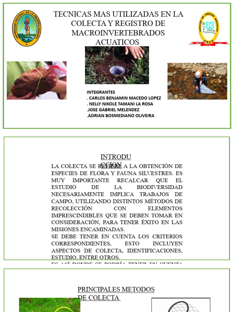 Tipos de Colecta de Macroinvertebrados | PDF | Insectos