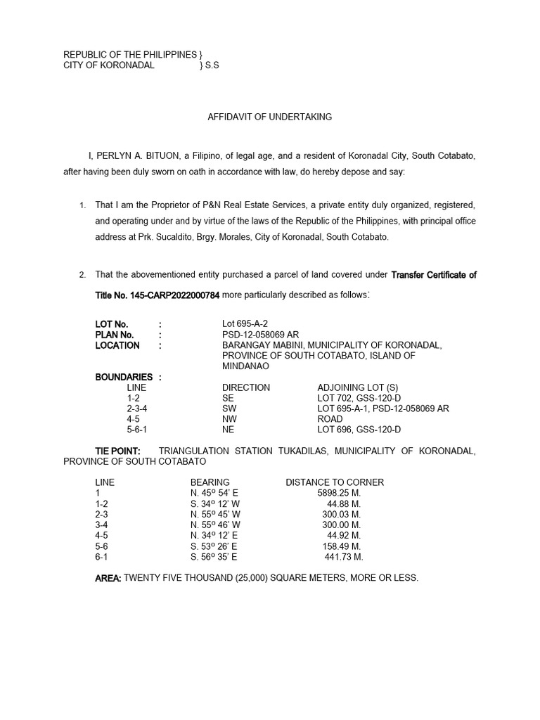 Affidavit of Undertaking | PDF | Affidavit | Justice