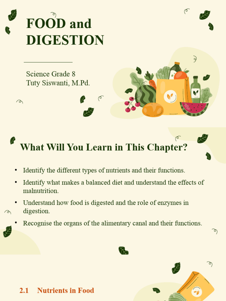 Food And Digestion Pdf Digestion Human Digestive System