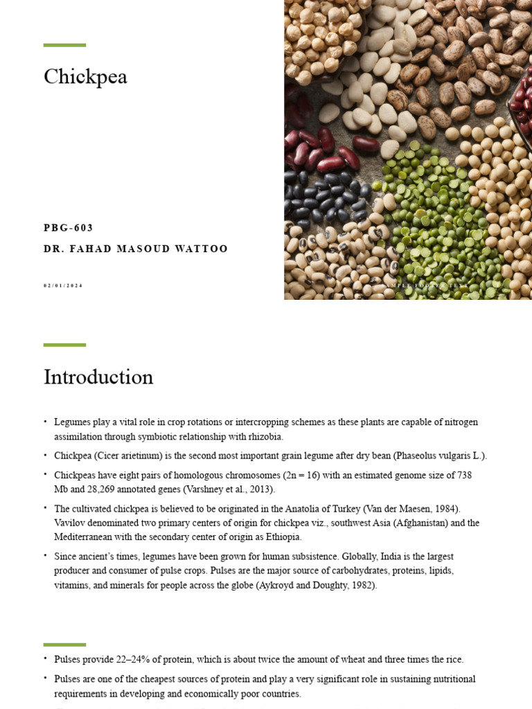 Chickpea Intro and Breeding | PDF | Plant Breeding | Chickpea