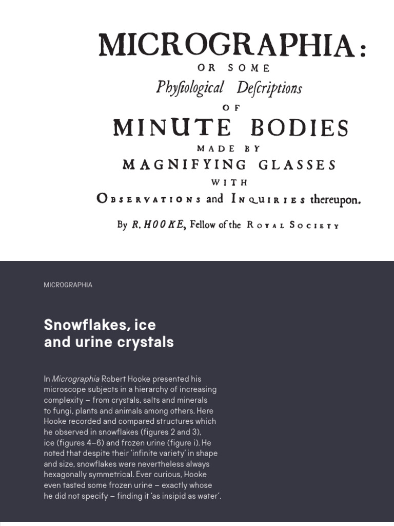 Robert Hooke's Micrographia Insights | PDF