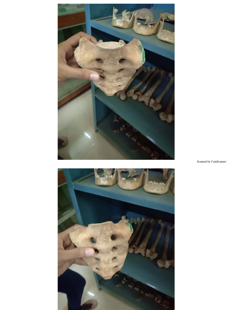 FMT Practical PDF | PDF