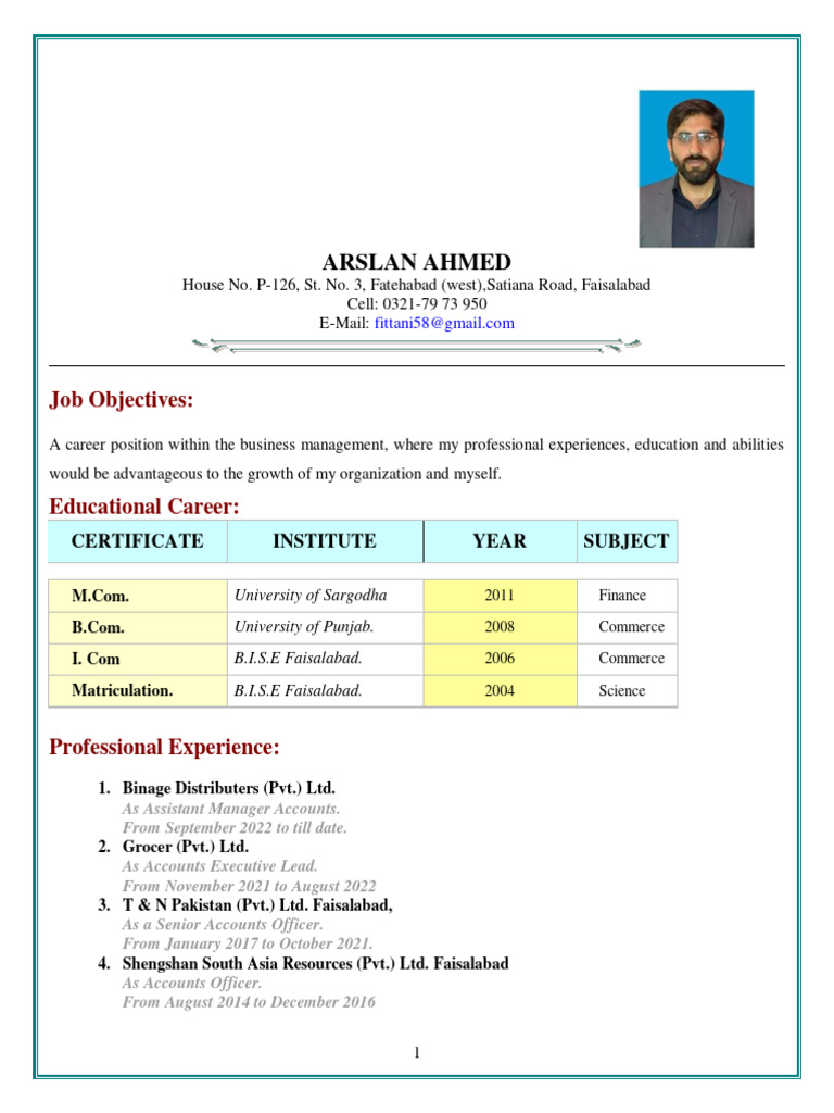 Arslan CV | PDF | Career & Growth