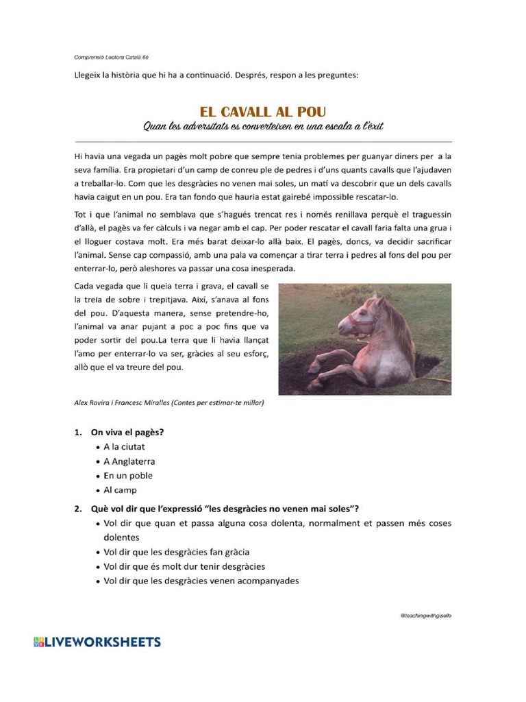 Comprensió Lectora Cavall | PDF