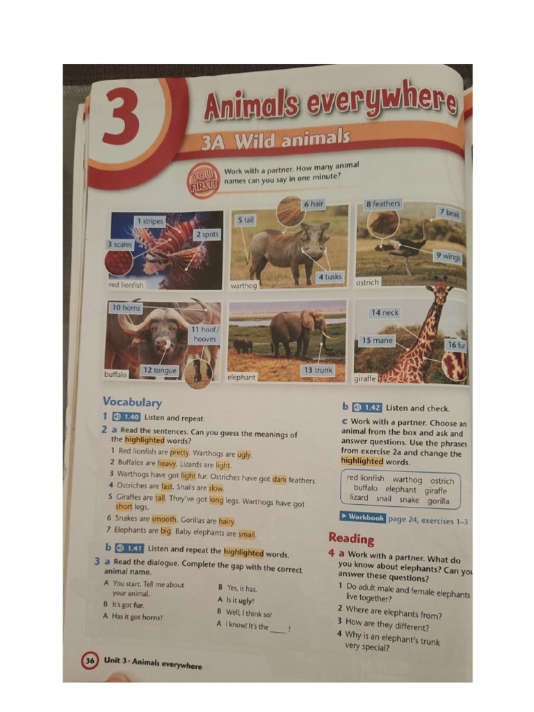 Project Explorer 1 Unit 3 | PDF