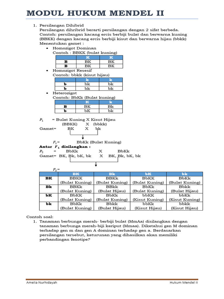 Modul Hukum Mendel Ii | PDF