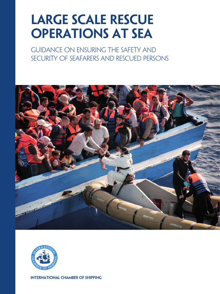 Large Scale SAR Operations | Download Free PDF | Personal Protective ...